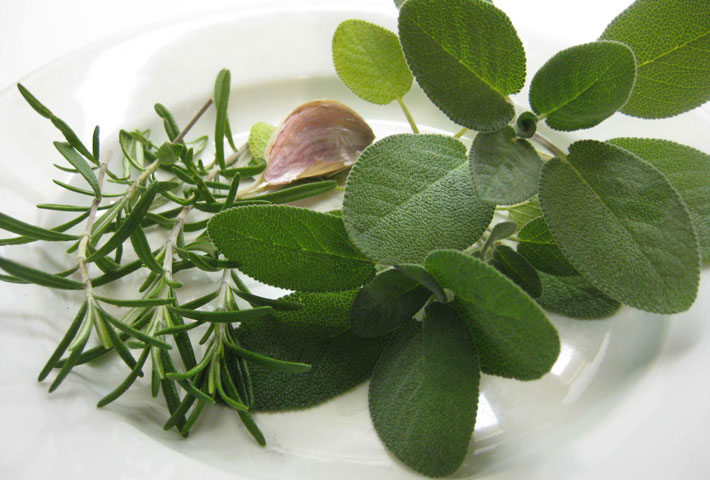 3 erbe officinali per trattare l'afta