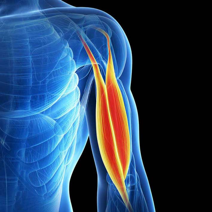 Dolore Al Braccio Sinistro: Cause